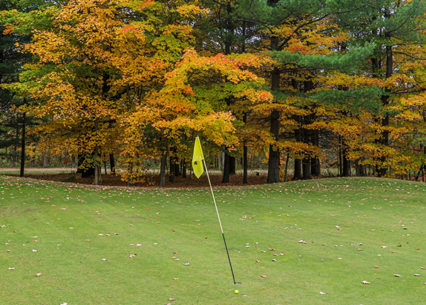 Course Photos - Buncrana Golf Course - Par 3